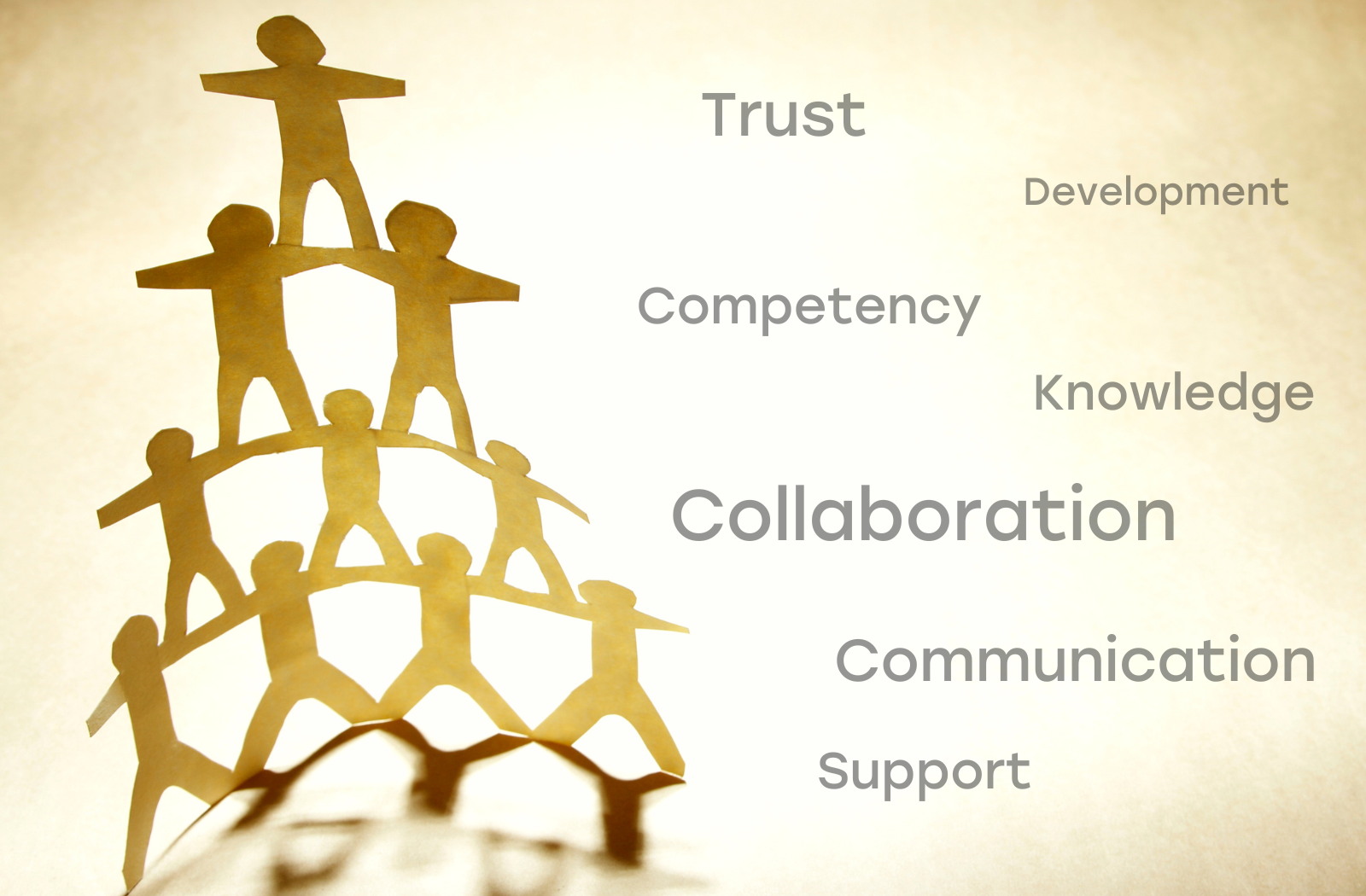 Supporting growth and knowledge: why our team is passionate about ...